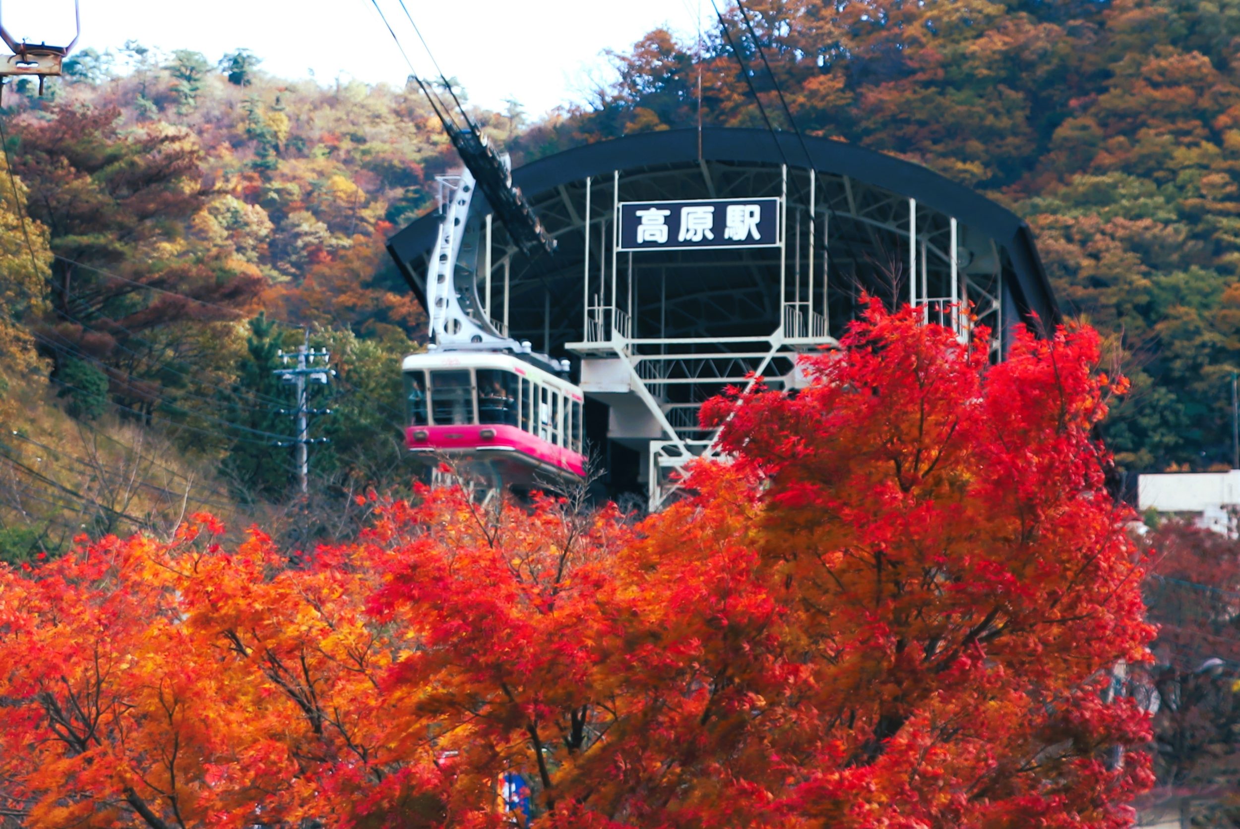 Beppu Ropeway - Grand Mercure Beppu Bay Resort & Spa Official Site ...